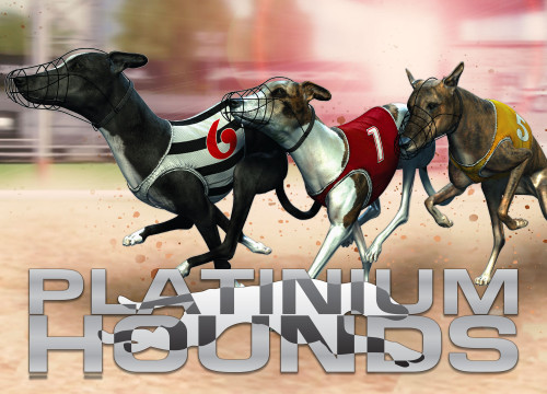 Bienvenue sur Casinocash | Casino en ligne